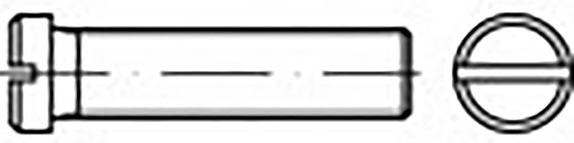 TOOLCRAFT TO-6857436 Skruer med fladt hoved M4 10 mm Kærv DIN 920 100 ...