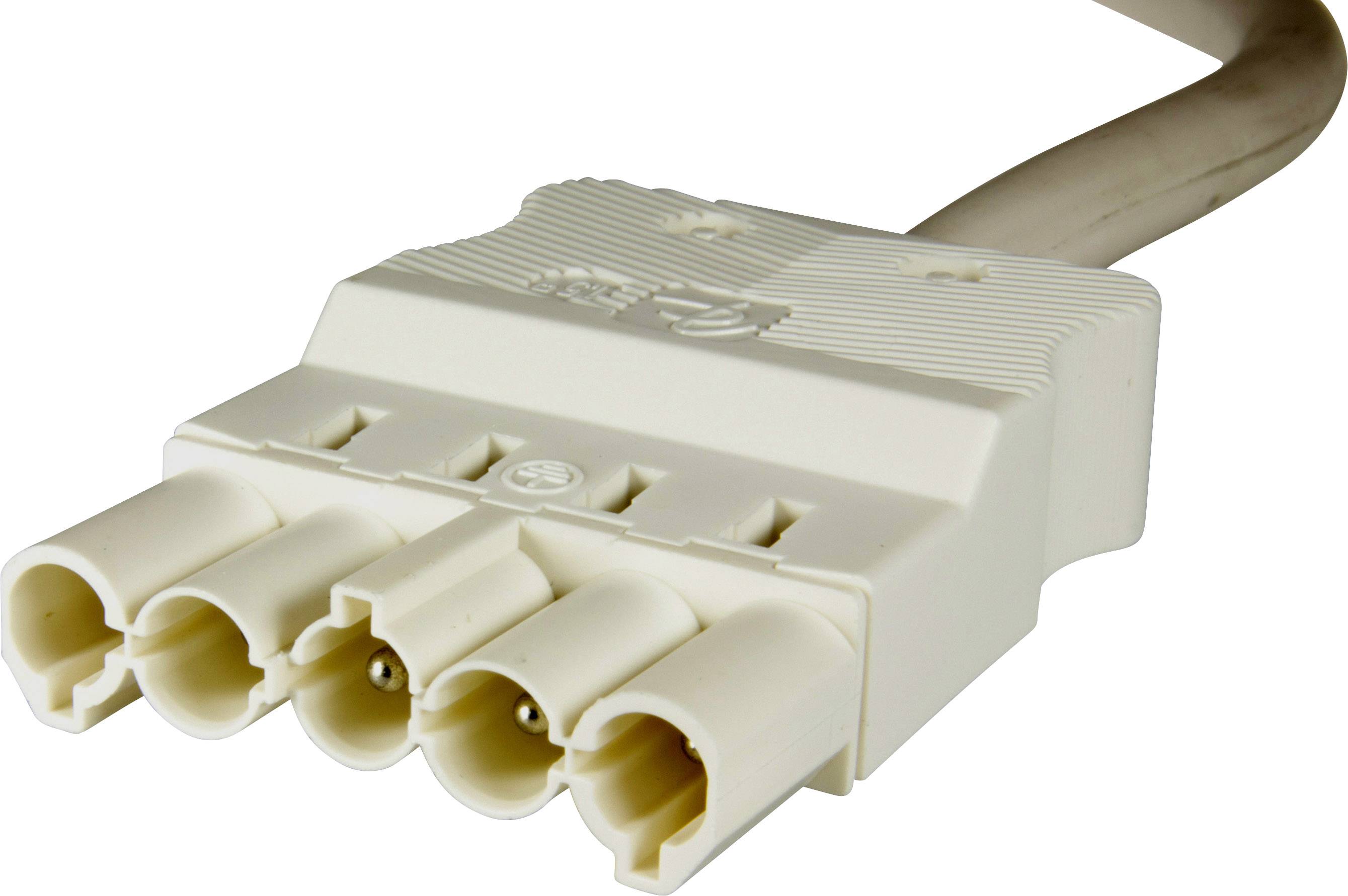 Adels-Contact 16315505 Netz-Anschlusskabel Kabel, offenes Ende - Netz ...