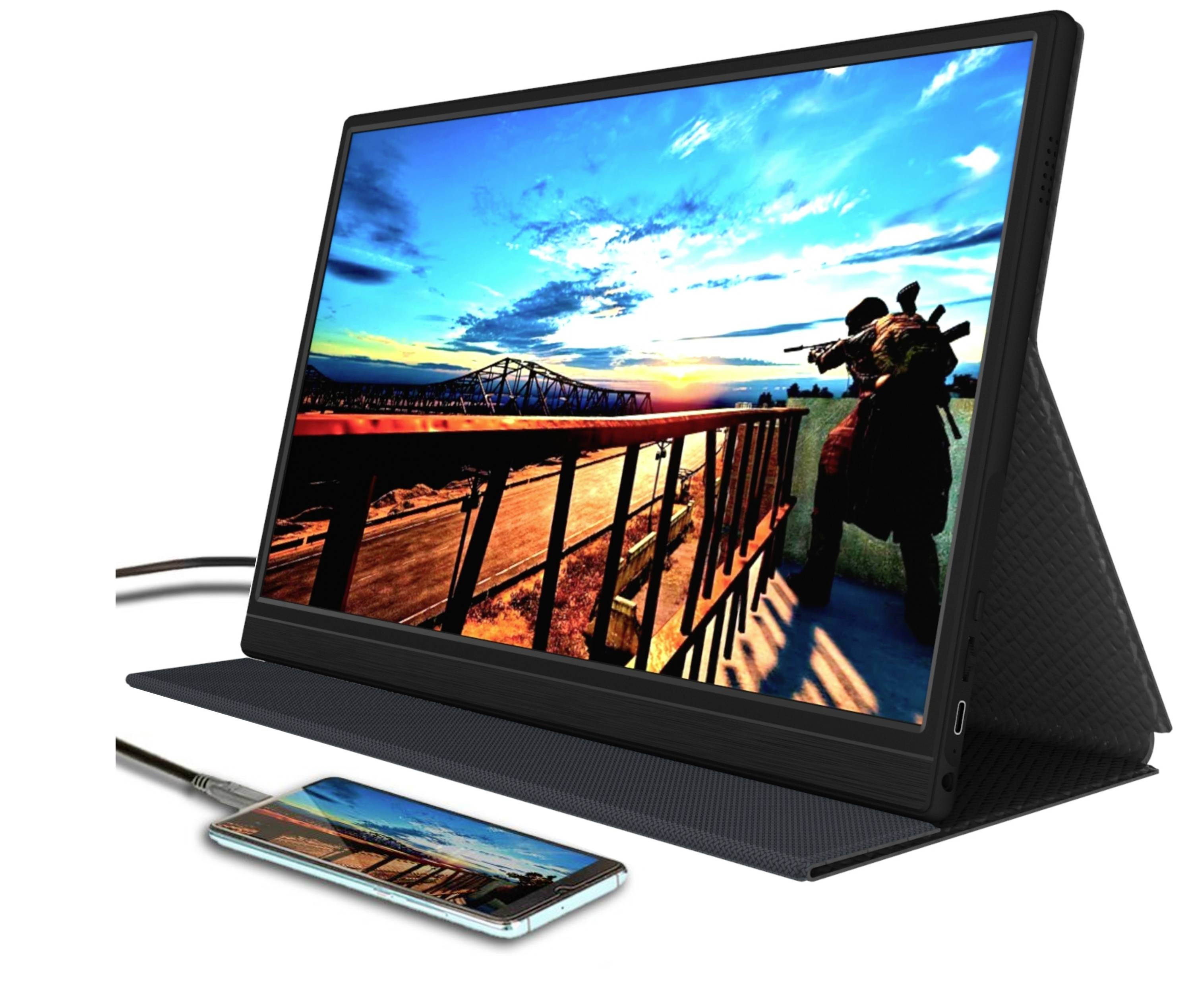 15.6 inch monitor store