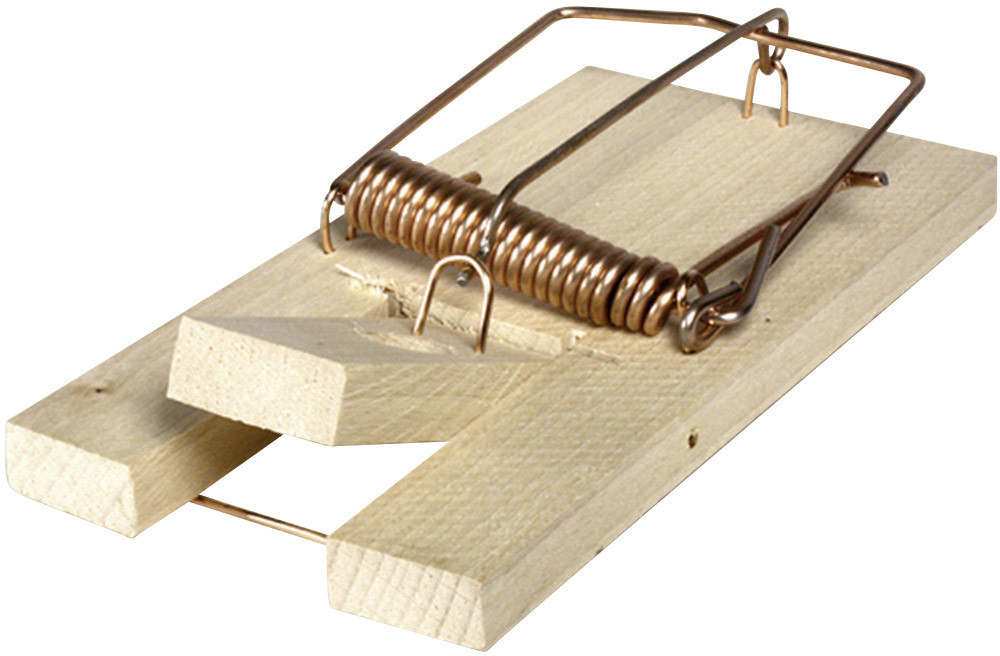 Mausefalle Swissinno SuperCat Classic 2 St. kaufen