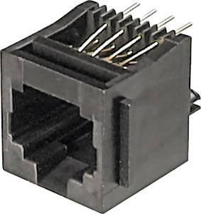 RJ12 online auf Conrad.at kaufen