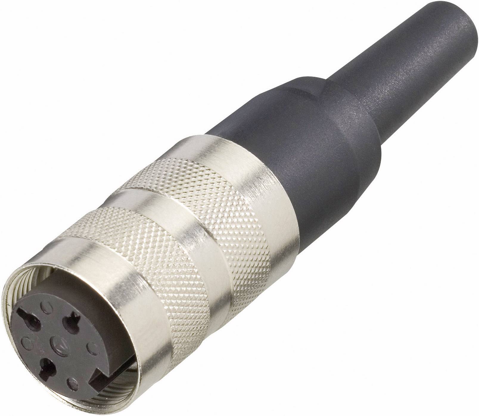 Amphenol T 3303 000 Rundstecker Buchse, Einbau Gesamtpolzahl: 4 Serie ...