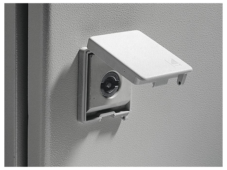 Buy Rittal SZ 2476.100 2476100 Lock cover sealable Polyamide Grey 2 pc ...