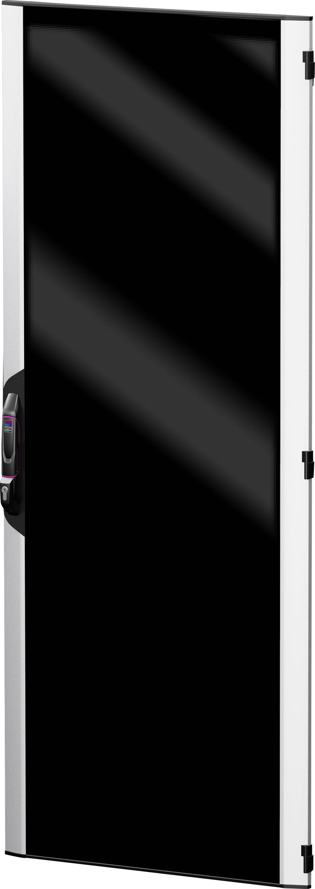 Buy Rittal 5301423 19 inch Server rack door with window Black, Silver ...