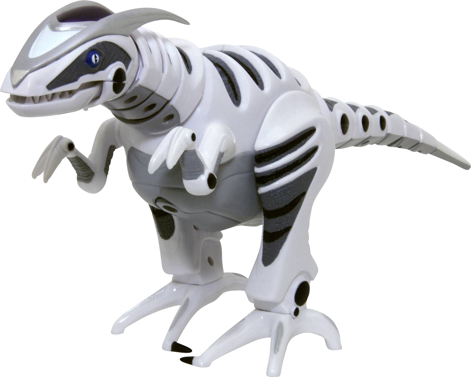 Robo Raptor Robot Dinosaur Roboraptor – The Children's Museum of ...