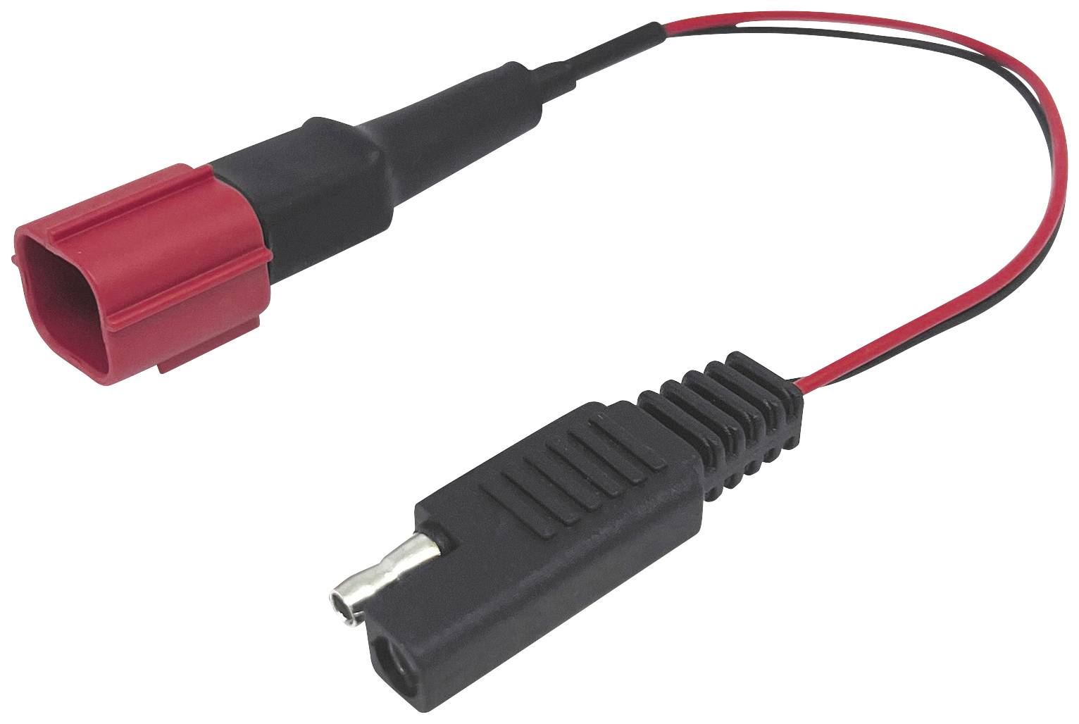 Buy BAAS BA5 Cable DDA Ducati-EURO5 SAE/Multiconnector | Conrad Electronic