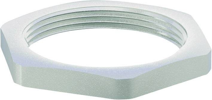 Buy RST 61006525 61006525 Hex nut M25 Brass Ecru 100 pc(s) | Conrad ...