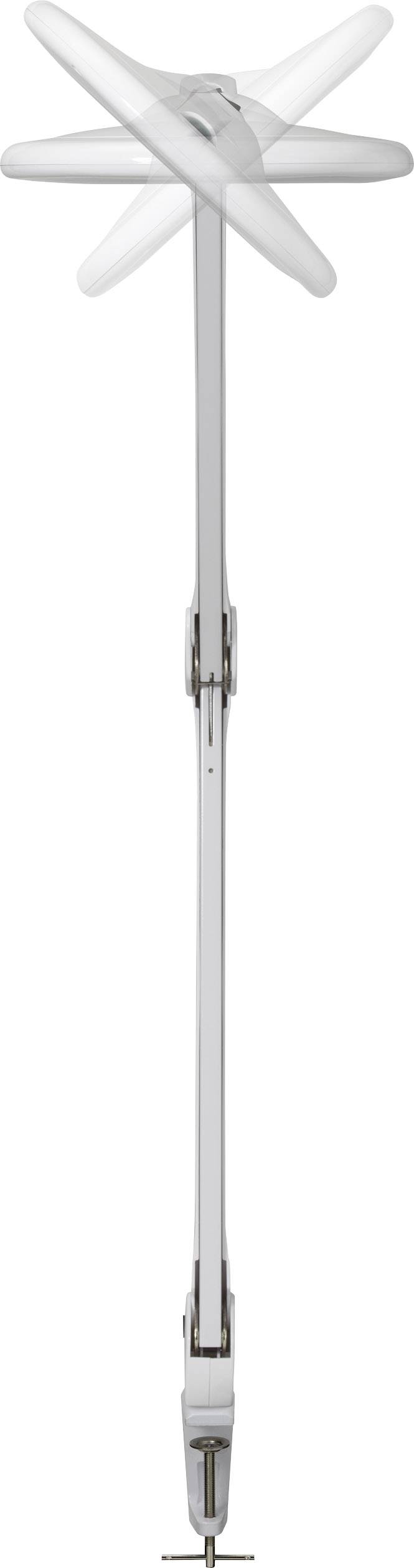 Buy TOOLCRAFT 2181343 SMD LED Lupenleuchte 127 mm 8 W 8D 3X 600 lm ...