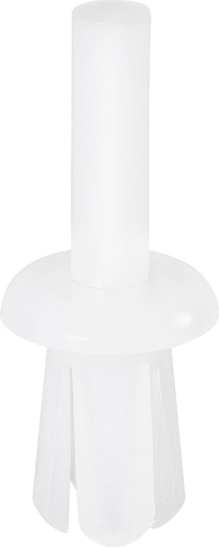 Buy PB Fastener 301-0765-000 Expanding rivet Hole Ø 7 mm Plastic Ecru 1 ...