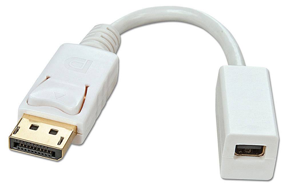 LINDY 41060 DisplayPort / Mini DisplayPort Adapter cable [1x ...