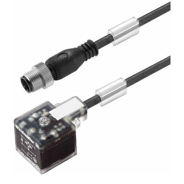 Buy Square connector + molded lead, straight plug, type A, M12A, cable ...