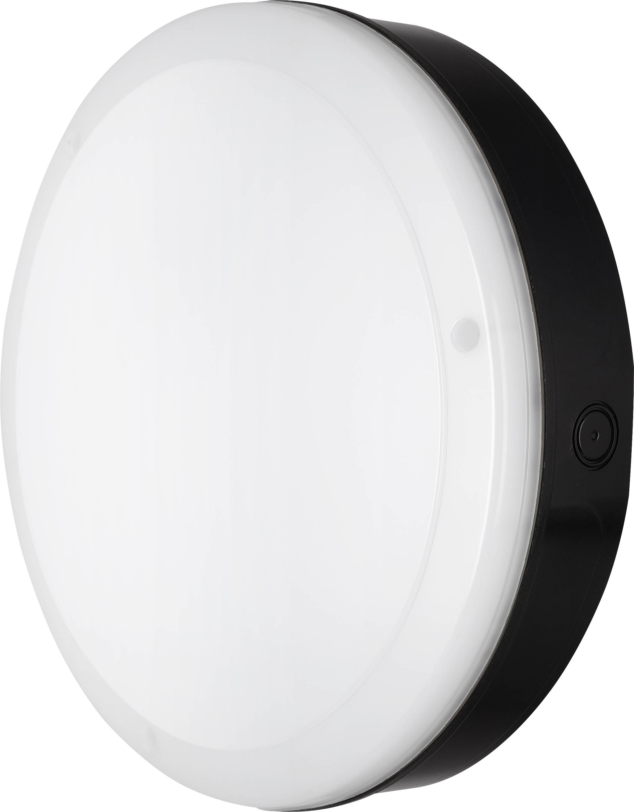 LEDVANCE Surface Bulkhead 82673 LE Plafonnier LED extérieur, Applique LED extérieure 10 W noir ...