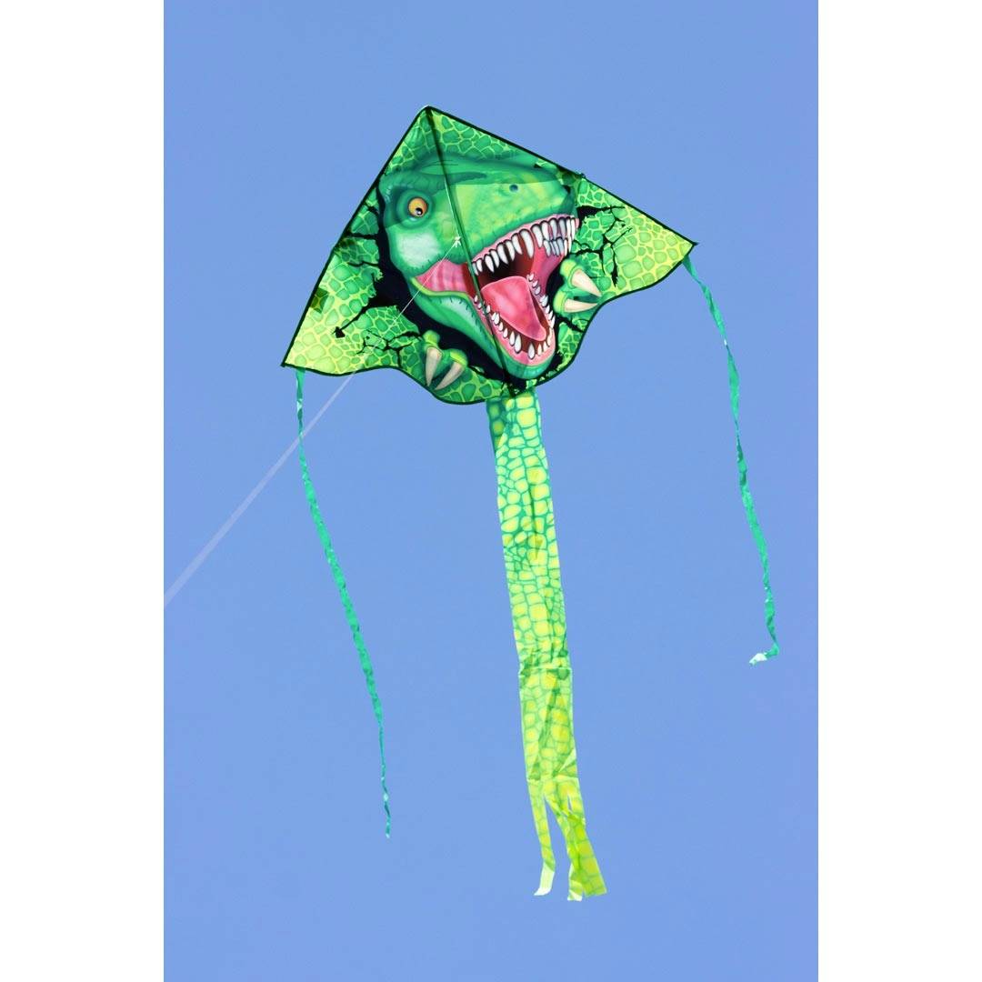 Ecoline Eenlijns Vlieger Simple Flyer T-Rex Spanwijdte 1200 mm Geschikt ...