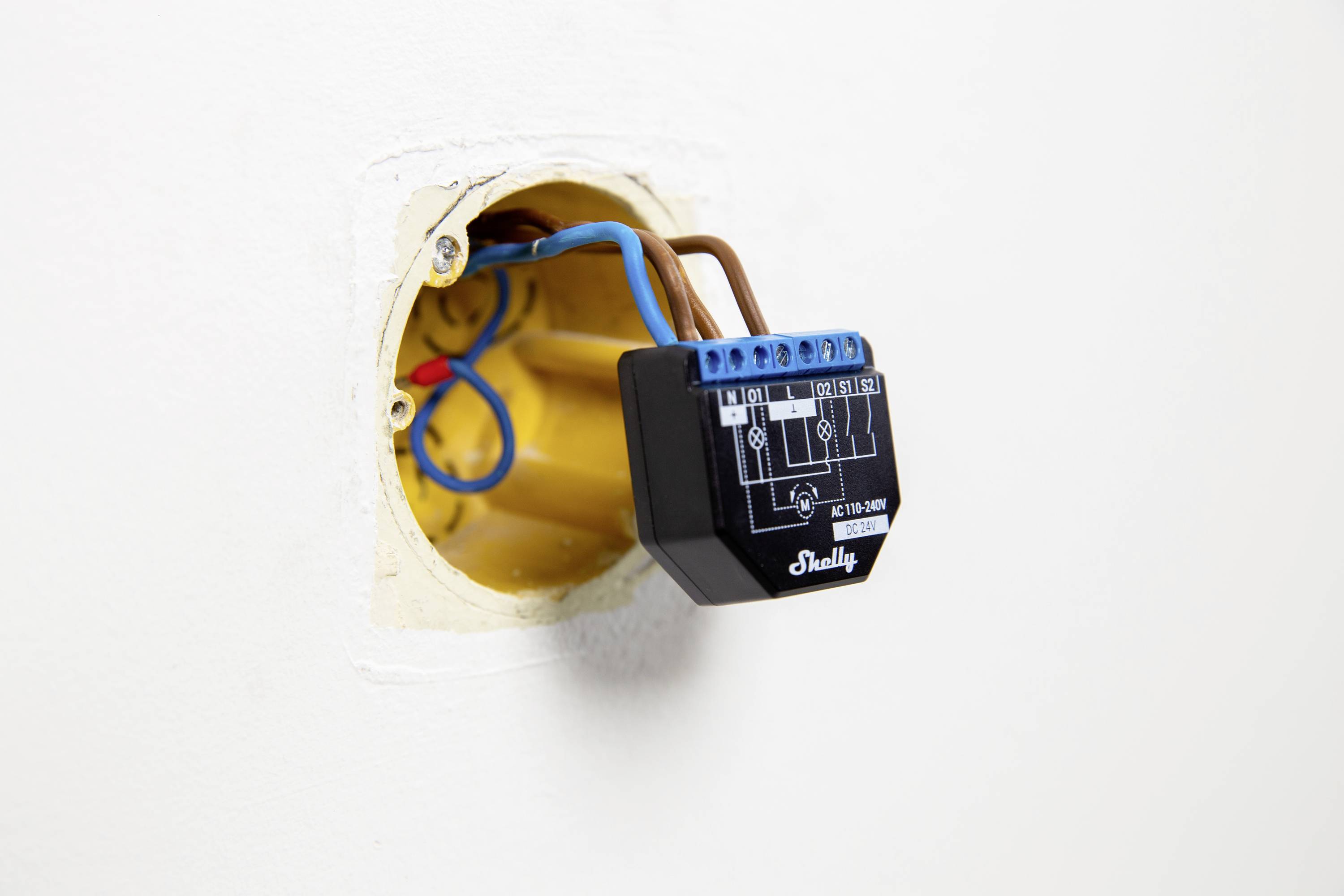 Shelly Shelly Plus 2PM Schakel-meetactor WiFi, Bluetooth kopen ? Conrad ...