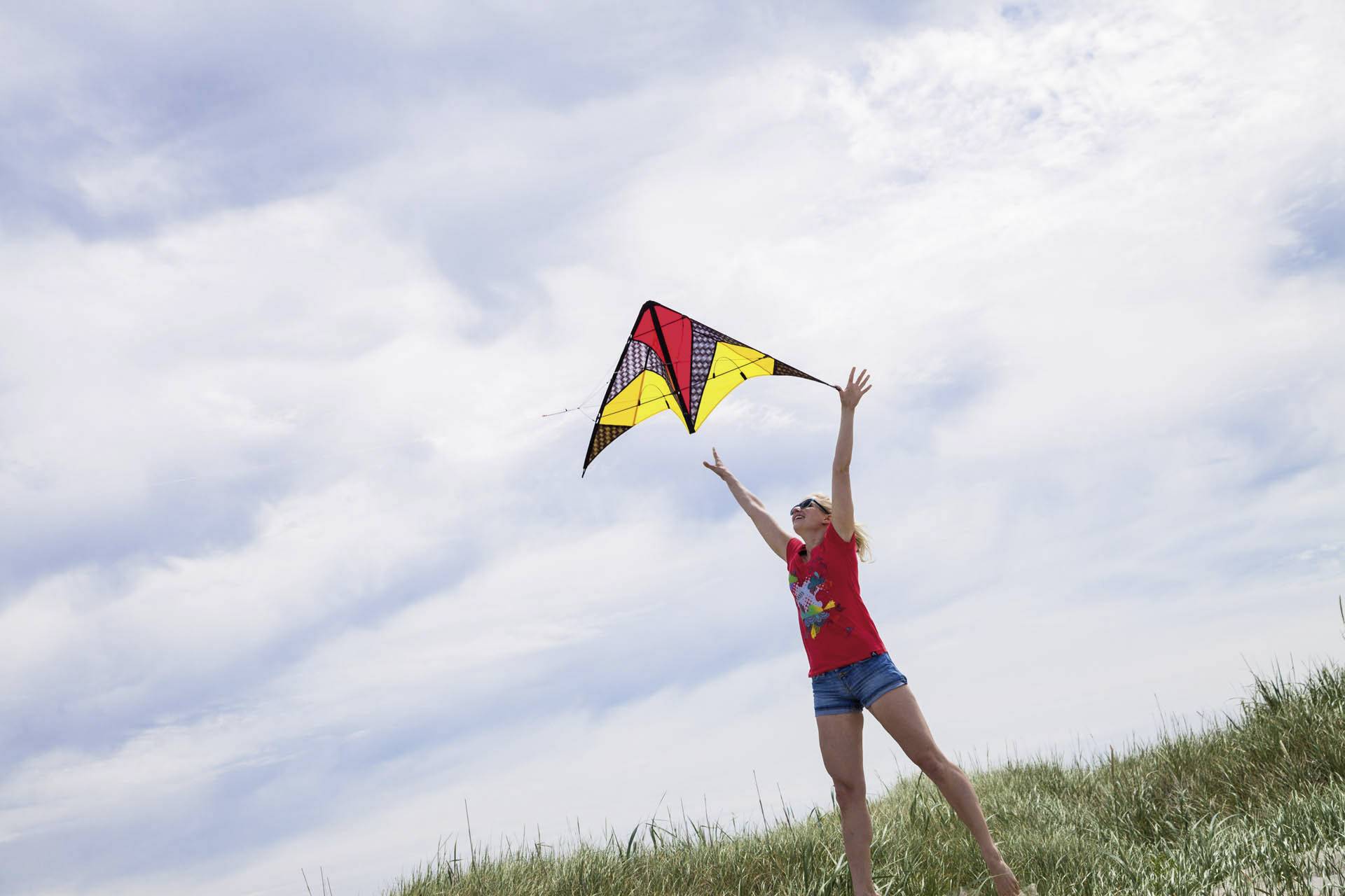 HQ Stuntvlieger Quickstep II Spanwijdte 1350 mm Geschikt voor ...