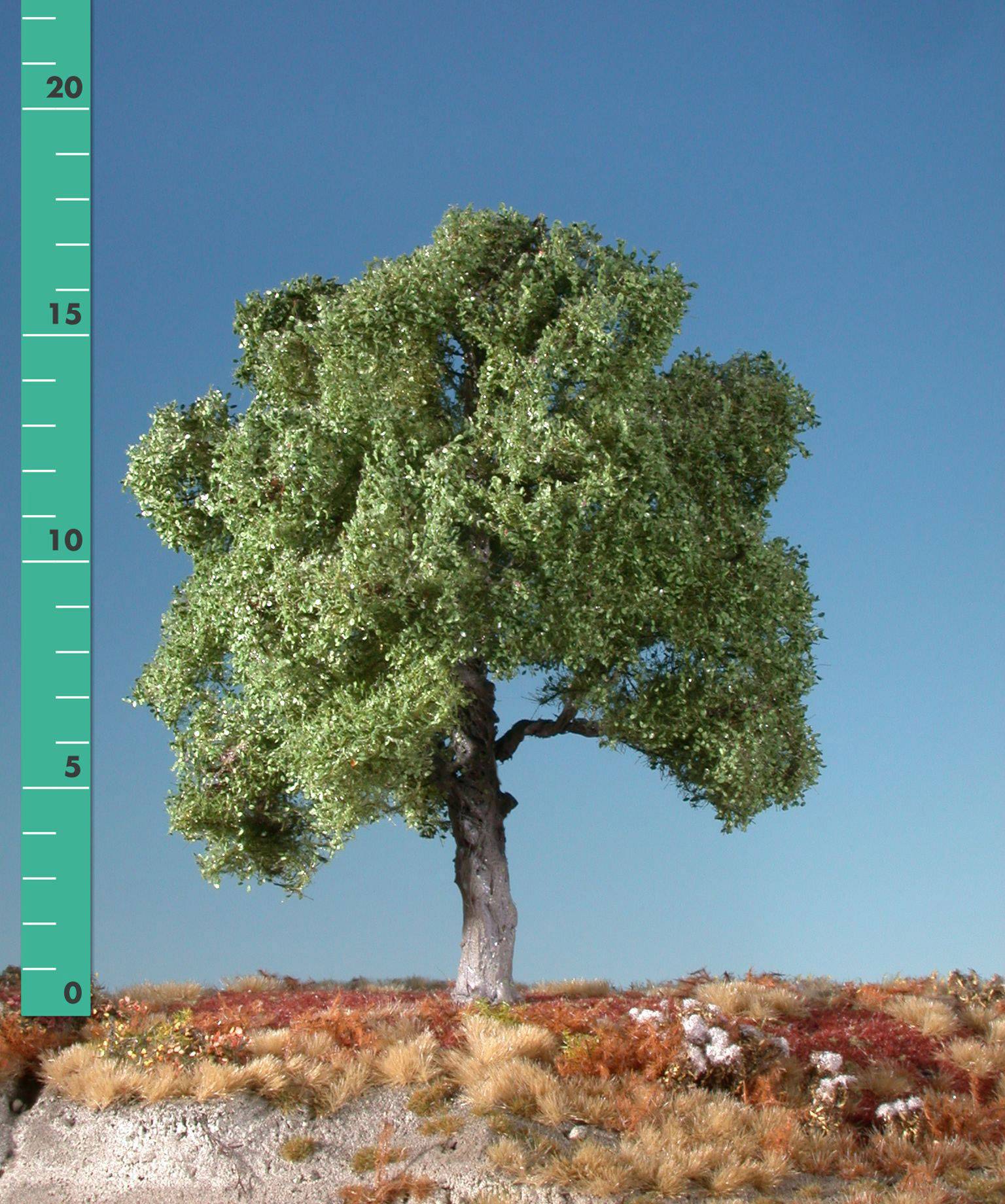 Mininatur 220-12 Träd Bok 1 st | Conrad.se